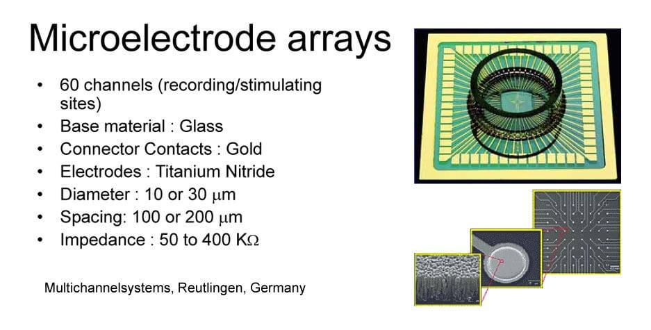 Cardiac Chip - Hickman Hybrid Systems Lab