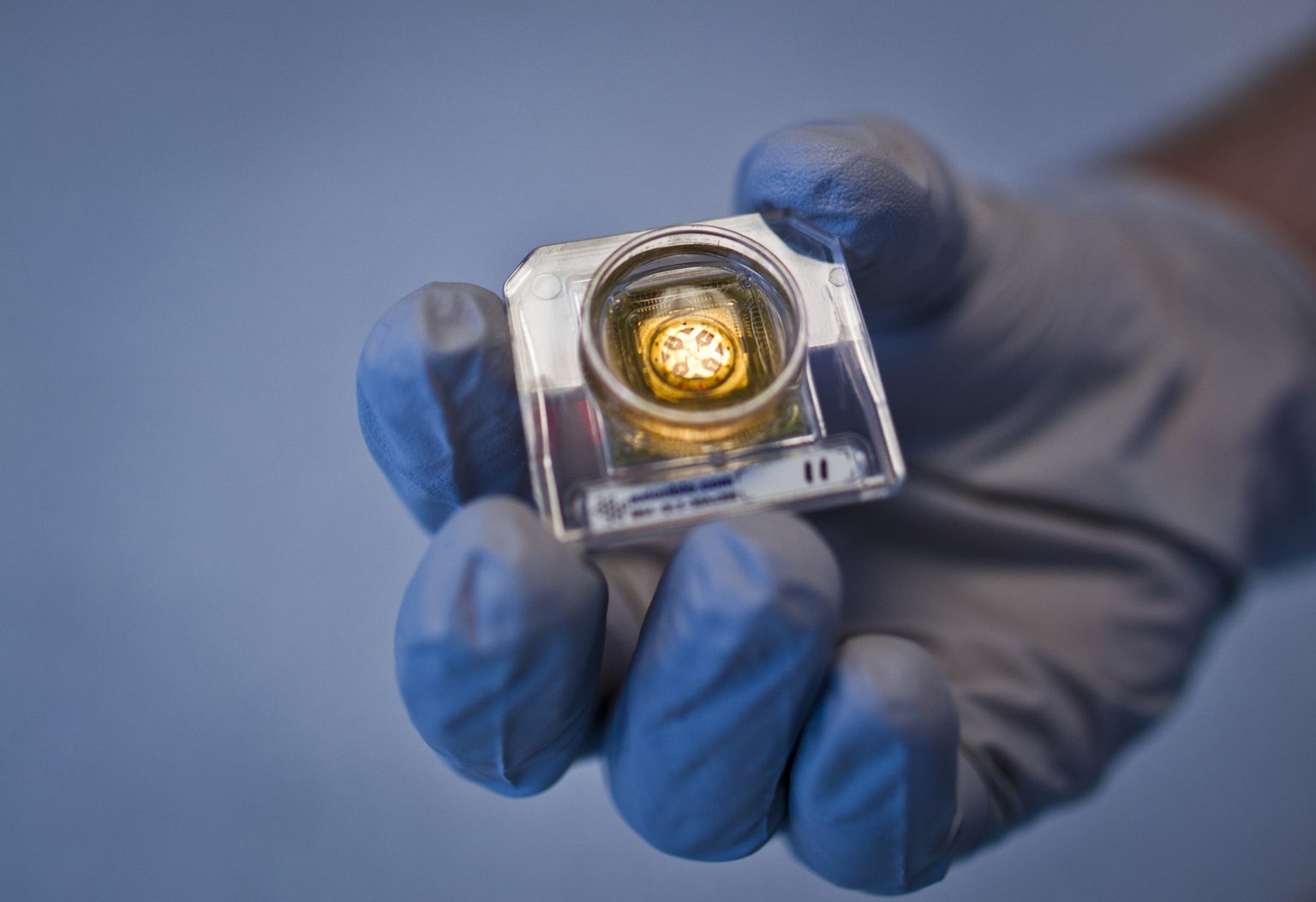 Home - NanoScience Technology Center