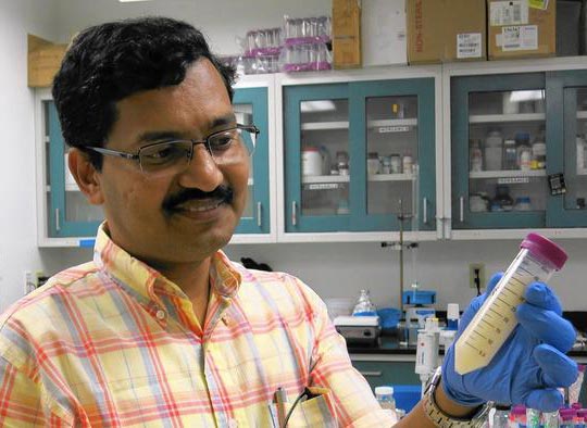 UCF Prof Tests Treatment for Citrus Greening - NanoScience Technology ...