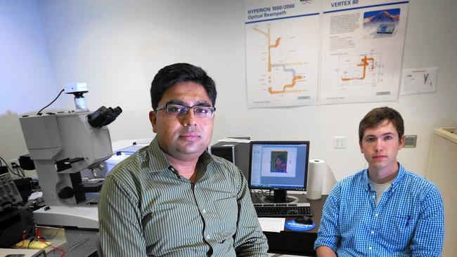 UCF professor on quest to mimic how nature makes color - NanoScience ...