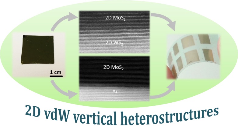 Jung’s group reports atom-thick 2D hetero-semiconductor integrations in ...