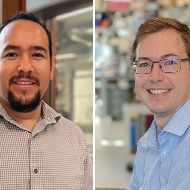 Recent UCF Graduates Have Accepted Tenure-track Positions at Top ...