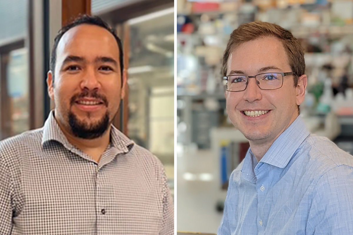 Recent UCF Graduates Have Accepted Tenure-track Positions at Top ...