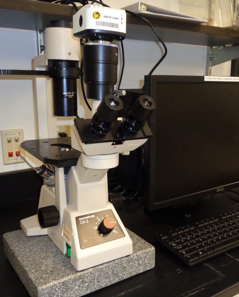 Phase Contrast Inverted Microscope - Olympus CK2 - NanoScience Technology Center