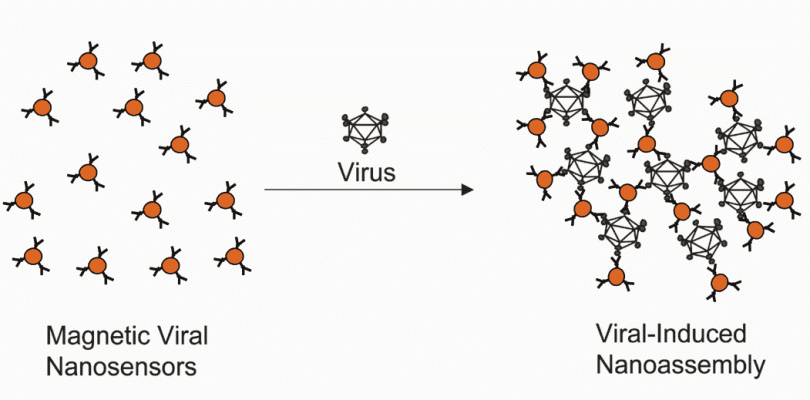 Nanoparticle Technologies - NanoScience Technology Center